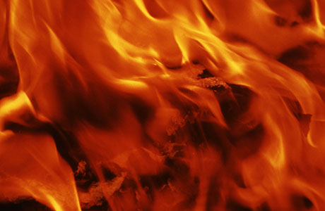 Borates in Wood Protection and Biocide | U.S. Borax