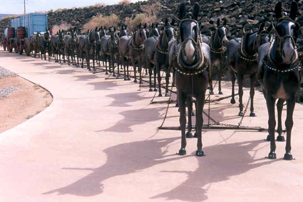20 Mule Team Days | 145+ year history as a leading supplier of boron ...